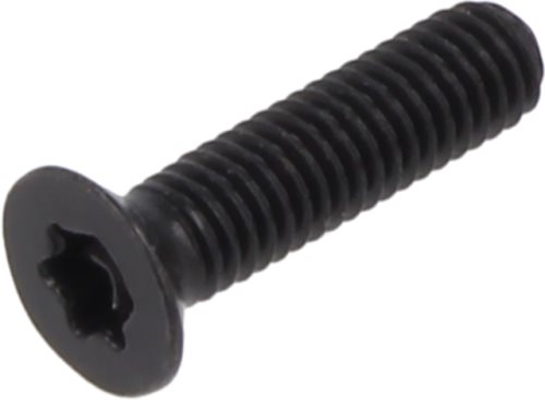 Screw; BN 2107; BOSSARD, B2X5/BN2107, B2X6/BN2107, B2X8/BN2107, B2.5X4 ...